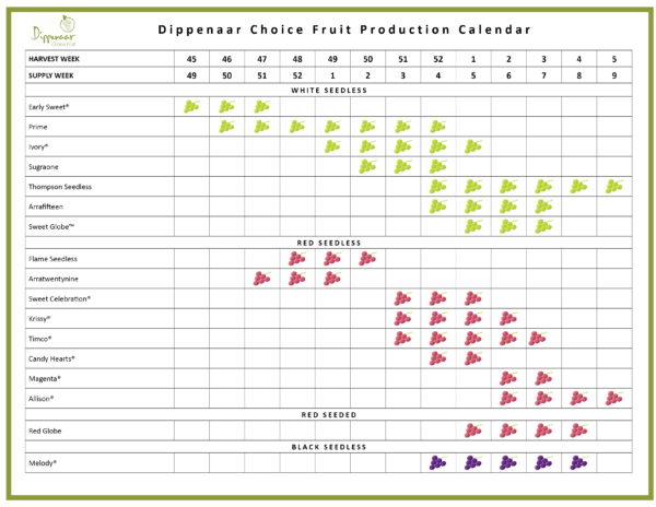Our Grapes – Dippenaar Choice Fruit