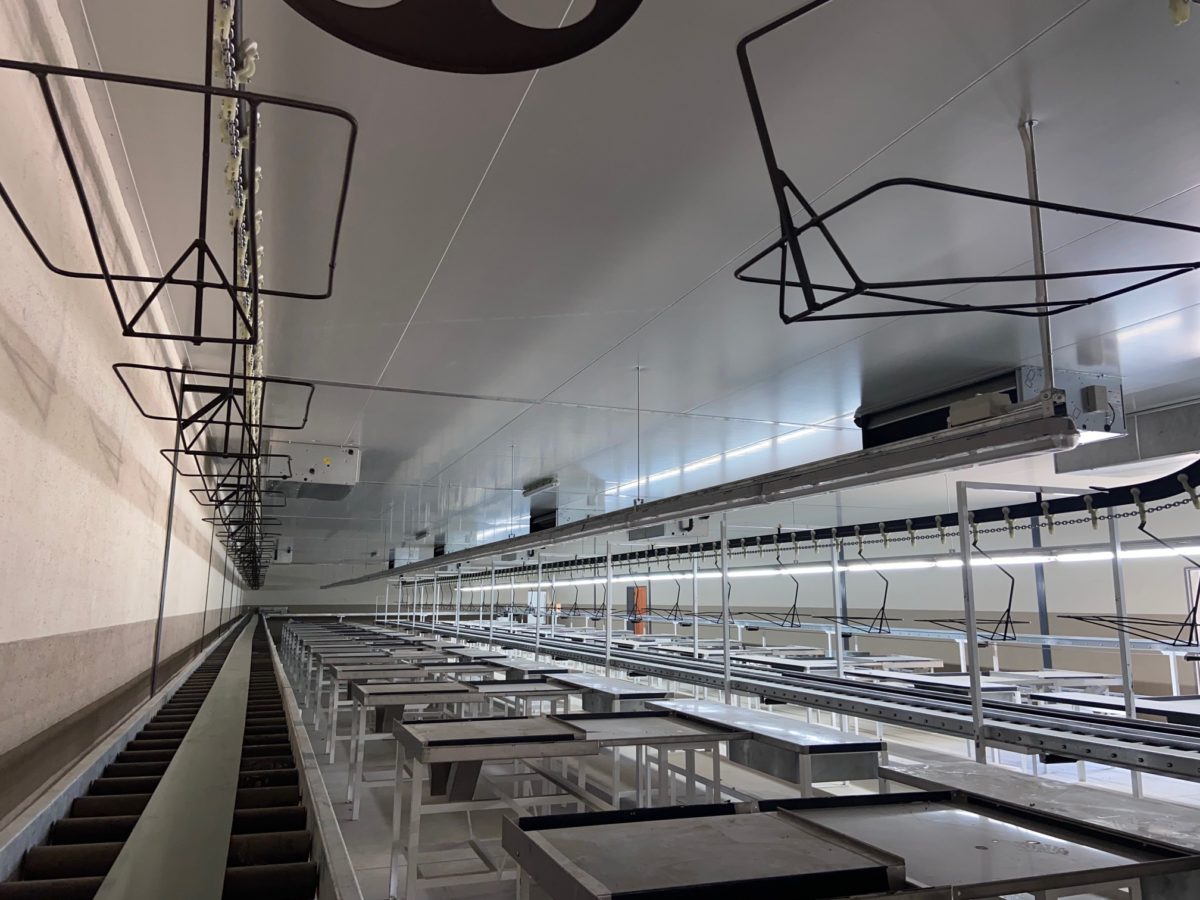 WELTEVREDE FARM BUILT A NEW PACKHOUSE – Dippenaar Choice Fruit