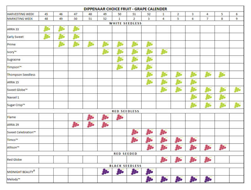 Our Grapes – Dippenaar Choice Fruit